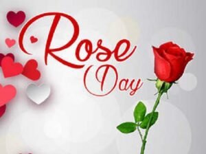 Rose day wishes Messages Romantic 90+ and quotes sms N Greetings